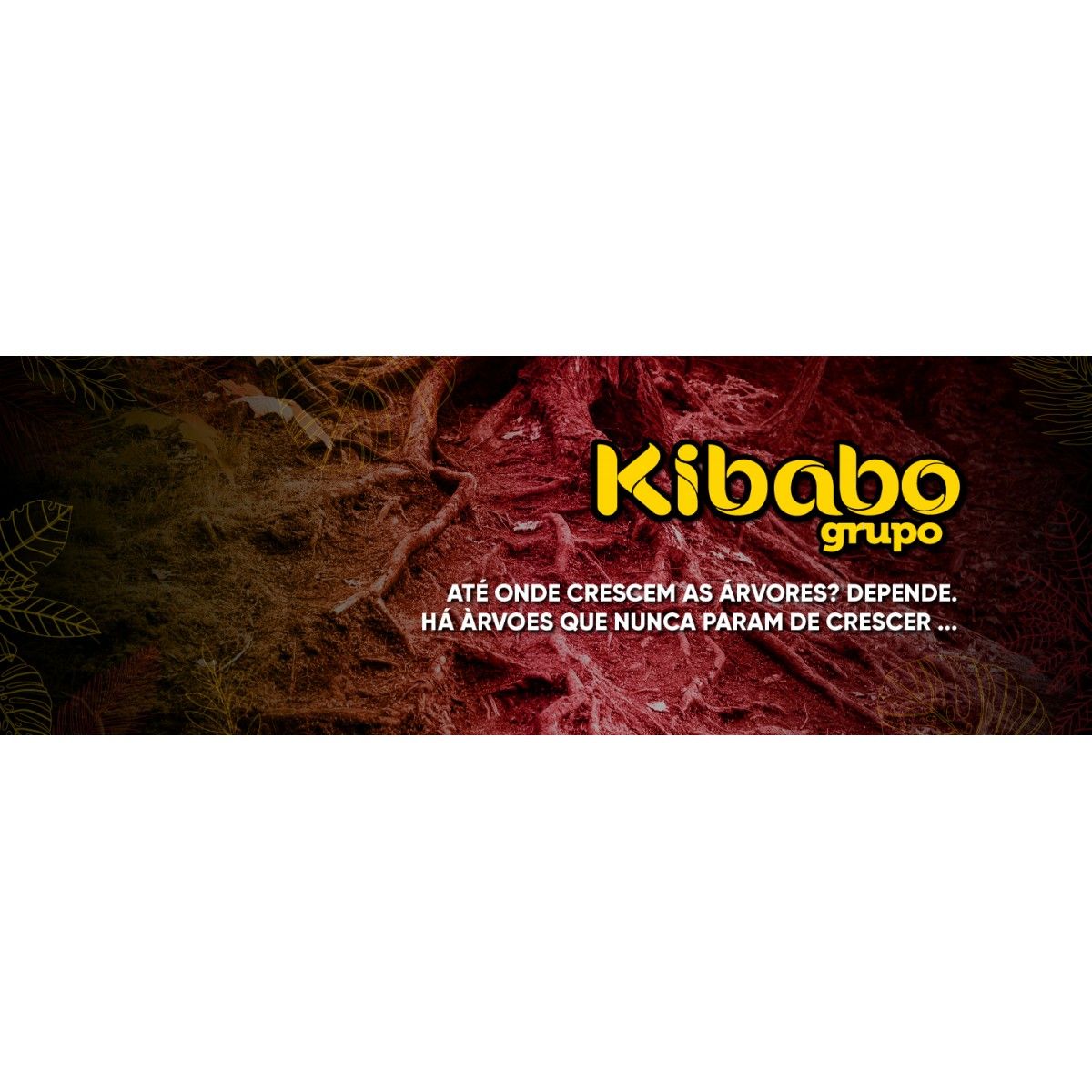 Conheça-nos melhor | Kibabo Online – O seu Supermercado Online - Kibabo ...